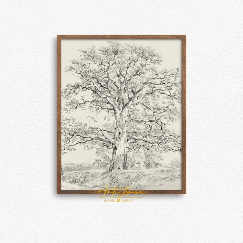 TREE Drawing Poster Neutral Wall Art OAK Tree Print Tree Vintage Sketch ...