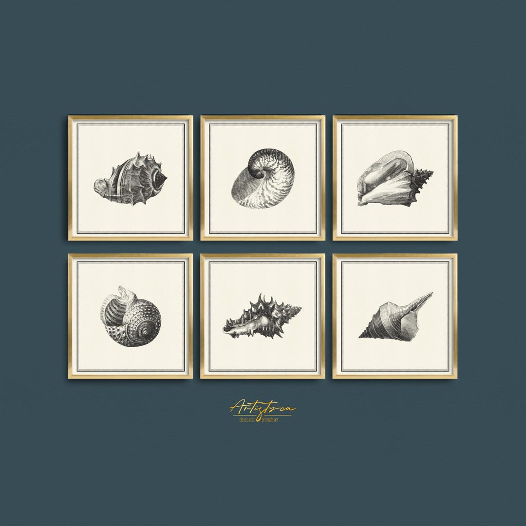 SEASHELL Wall Art, Print Set of 6, SEASHELL Vintage Print, Beach Home ...