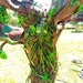 Car Tire, Wheels, Plastic Bottles, Pipes, Recycle, Handmade - Etsy