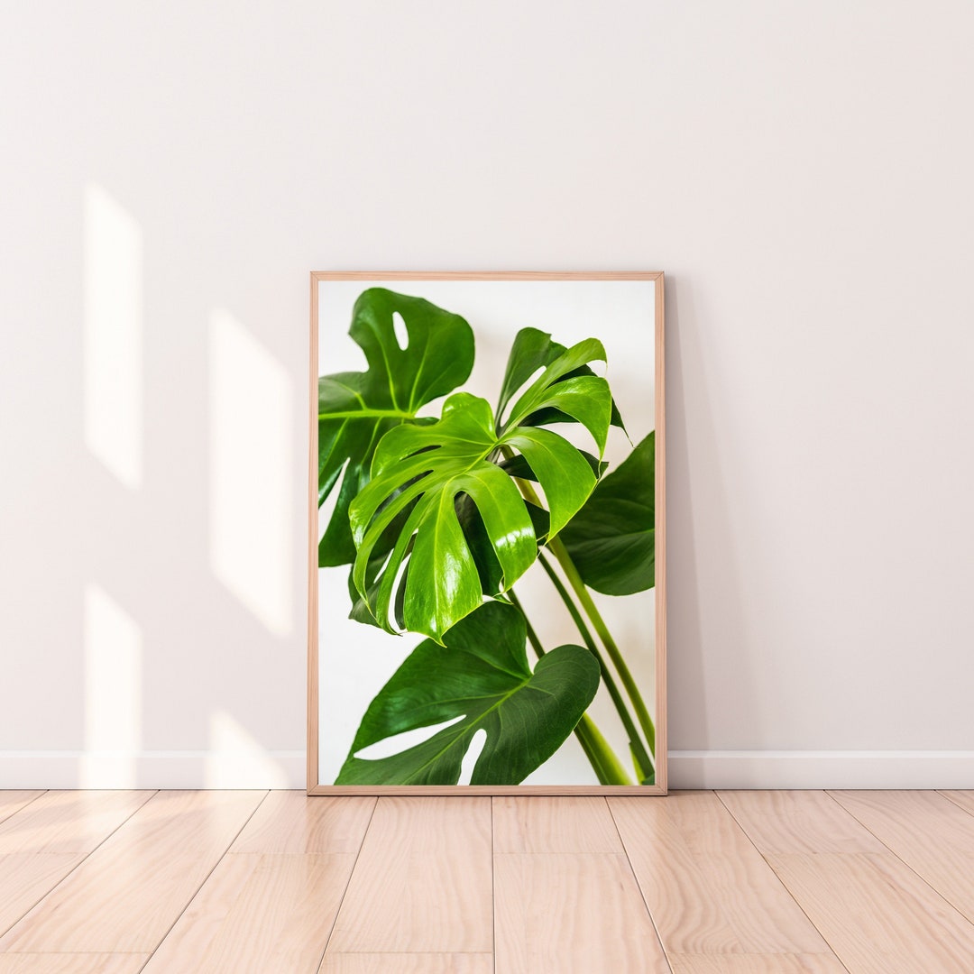 Monstera Leaf Print Modern Botanical Wall Art Digital Download Etsy