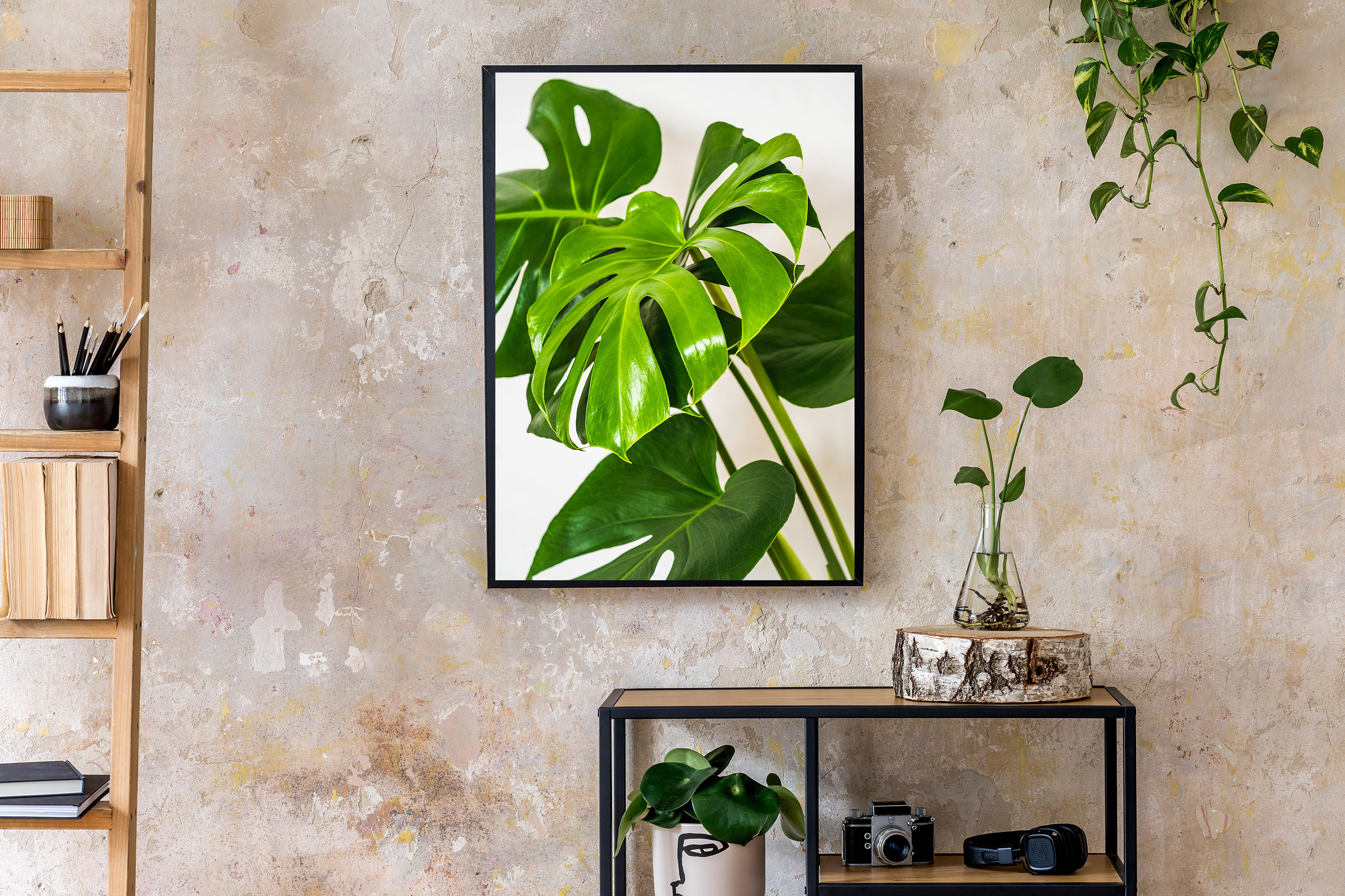 Hoja Monstera Imprimible, Arte Mural, Impresión Monstera, Impresión ...