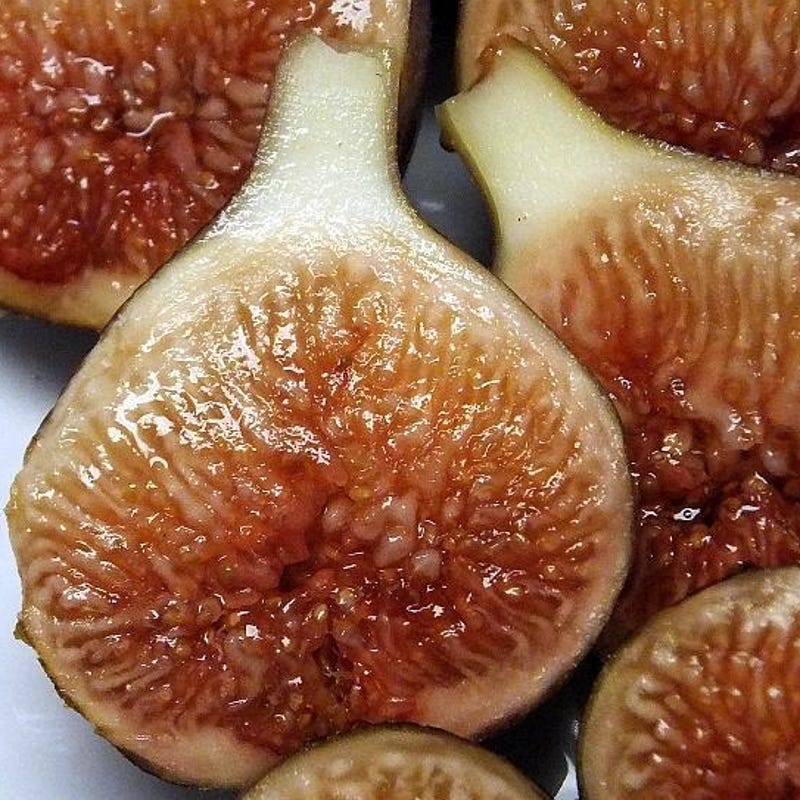 Black Tiger Fruit - Etsy