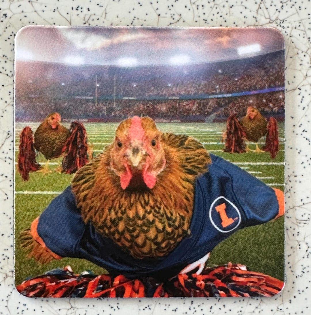 Illinois Illini Cheerleader Chicken Magnet - 2" X 2" Funny Gift - Etsy