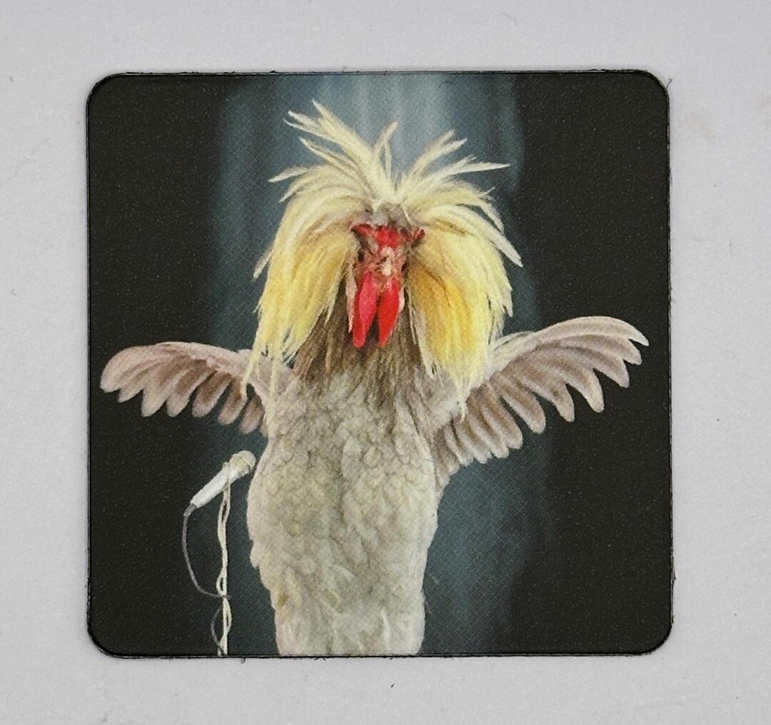 2" X 2" Small Magnet - Singing Chicken - Polish Rooster Rock Star - Etsy