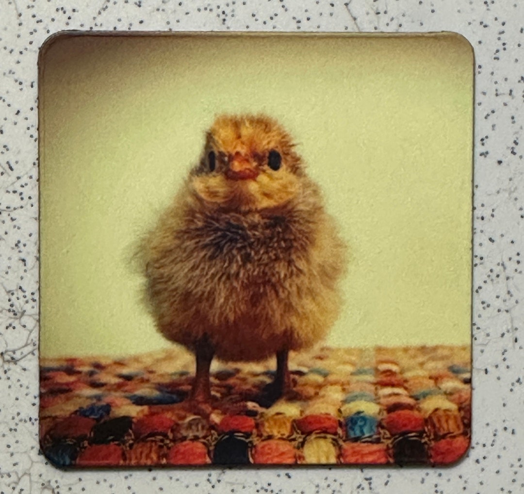 2" X 2" Small Magnet - Moody Chick on Textural Blanket - Super Cute - Etsy
