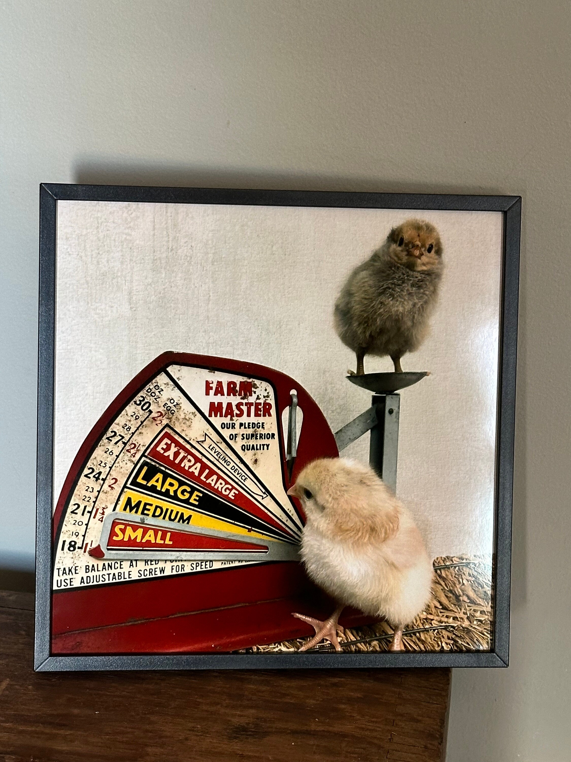 8" X 8" Framed - Chicks With Antique Egg Scale - Tilepix - Etsy