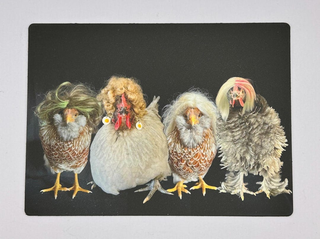 4" X 5.5" Magnet - Hens in Wigs - Chickens Wearing Wigs - Etsy
