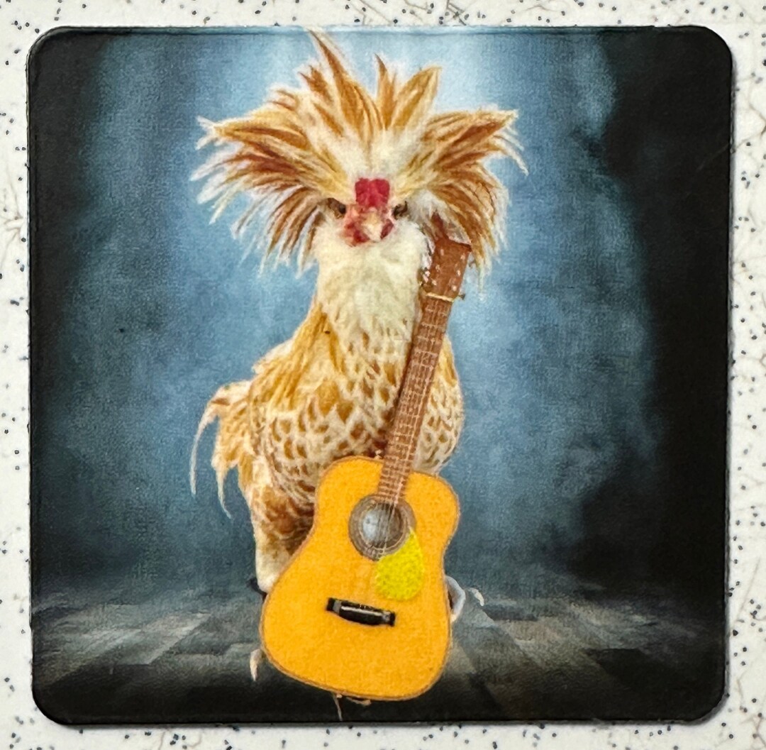 2x2 Small Magnet Guitar Chicken Willie Nelson Free Shipping - Etsy
