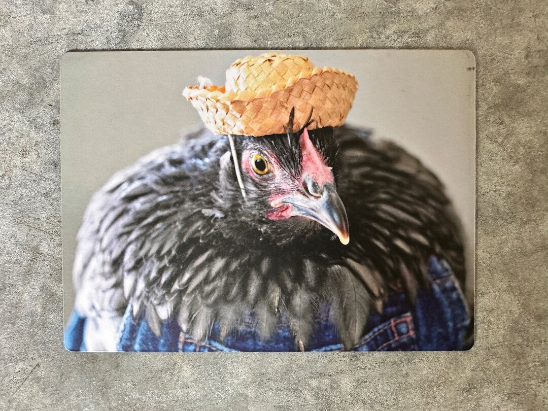 4" X 5.5" Magnet - Chicken (hen) With Hat and Bibs (bib Overalls) - Etsy