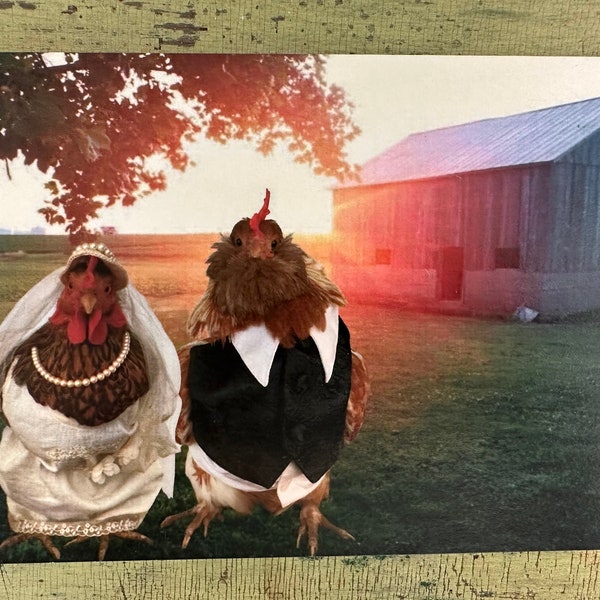 Wedding Chickens - Etsy