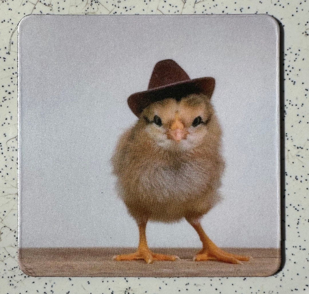 2" X 2" Small Magnet - Chick in Cowboy Hat - Etsy