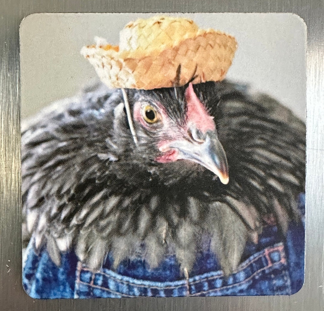 Chicken Magnet: Whimsical Hen in Hat and Overalls (2" X 2") - Etsy