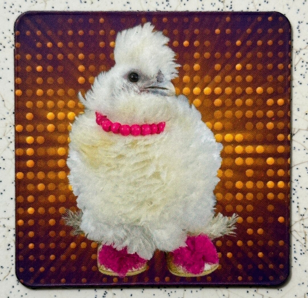 Funny Chicken Magnet – Frizzle Hen in Shoes & Necklace - Etsy