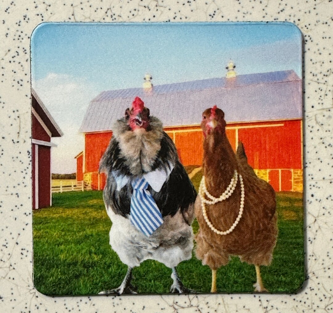 2x2 Small Magnet Chicken Couple the Farm Free Shipping - Etsy