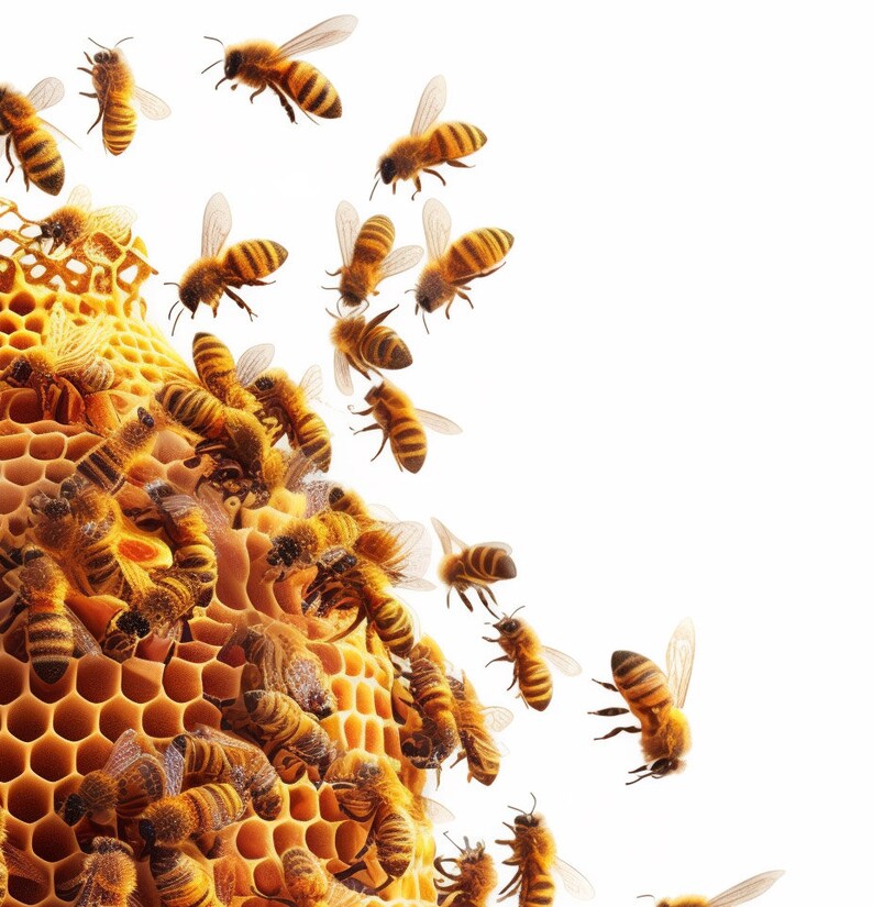 Golden Sunlight Hive & Bees | Laser Engraving File | Laser Ready | PNG ...