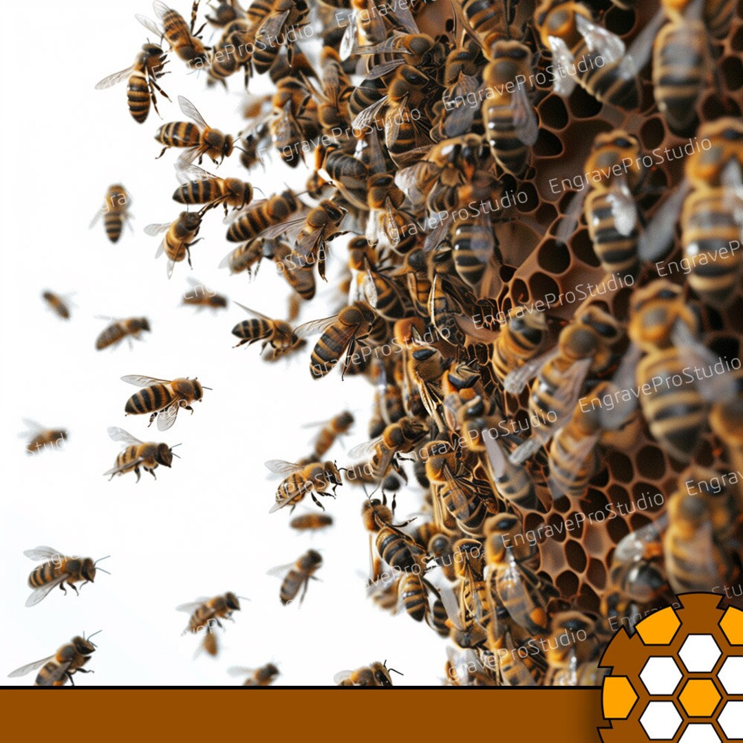 Digital Downloadable File | Laser Engraving File | Swarm of Bees at ...