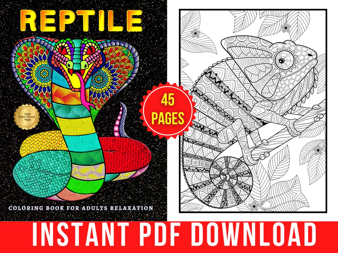 Reptile Coloring Pages | Snake Coloring Book for Adults and Teens | 50 ...