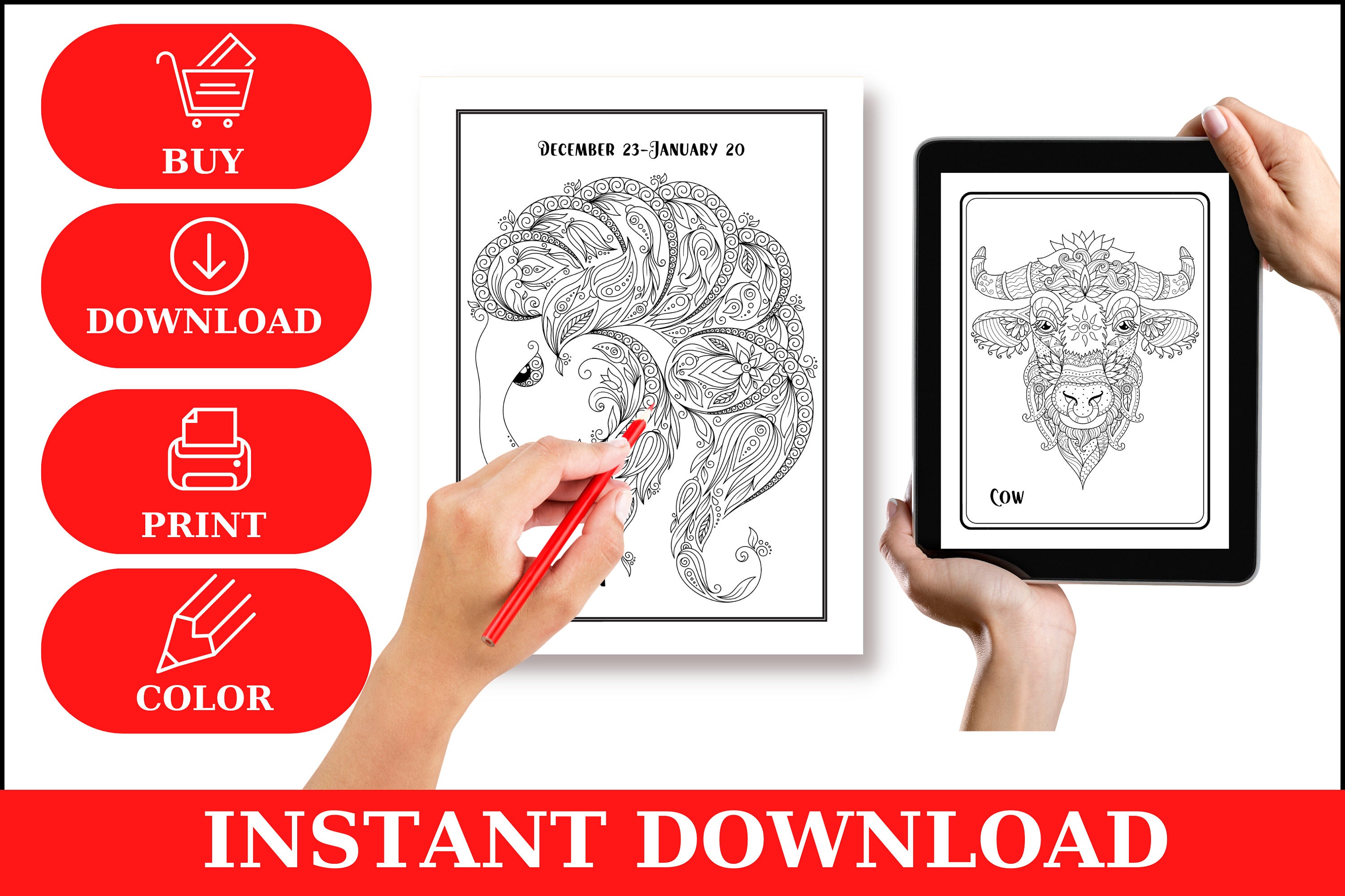 Zodiac Coloring Pages Zodiac Coloring Book for Adults and Teens 36 ...