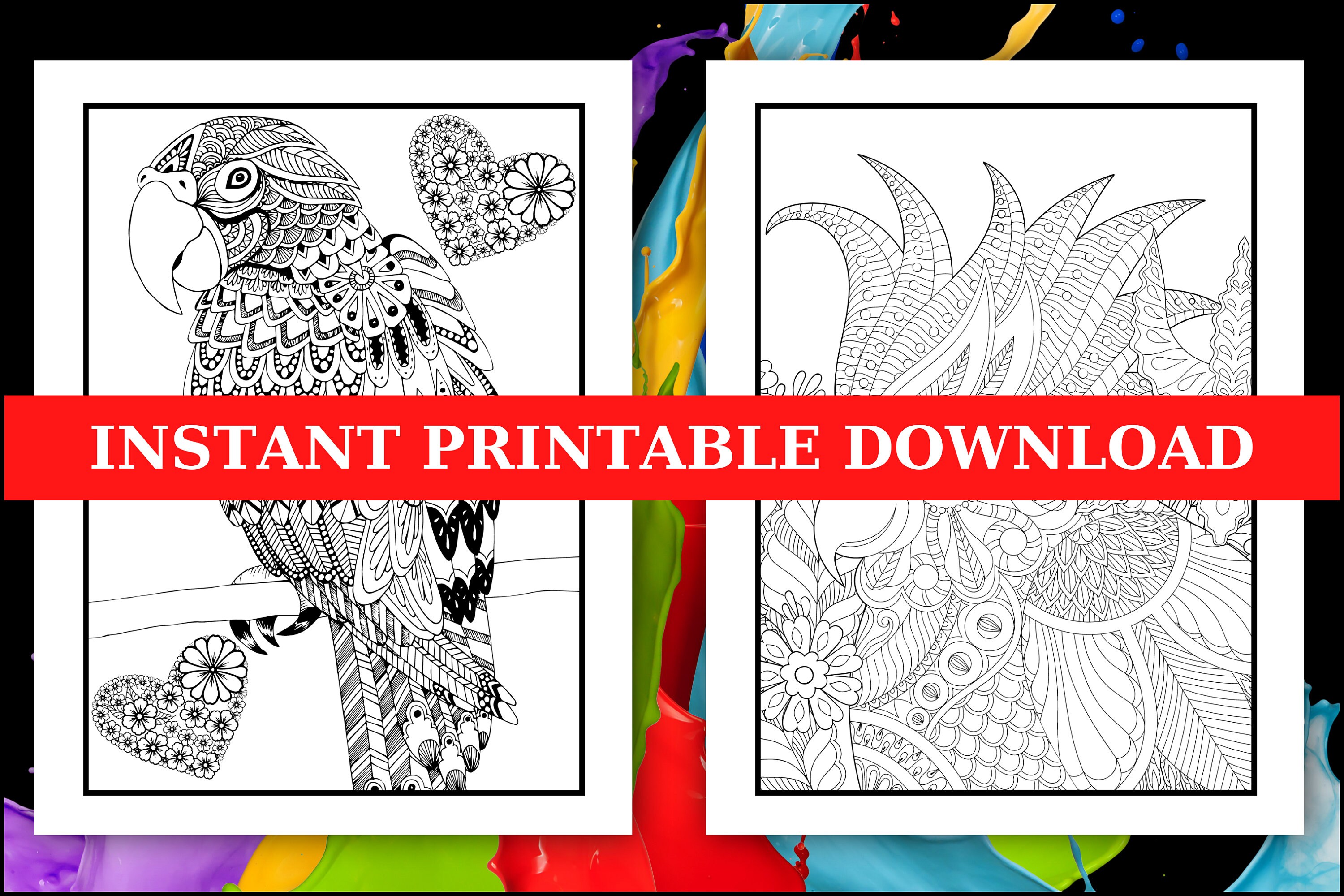 Parrot Coloring Pages | Parrot Coloring Book for Adults and Teens | 40 ...
