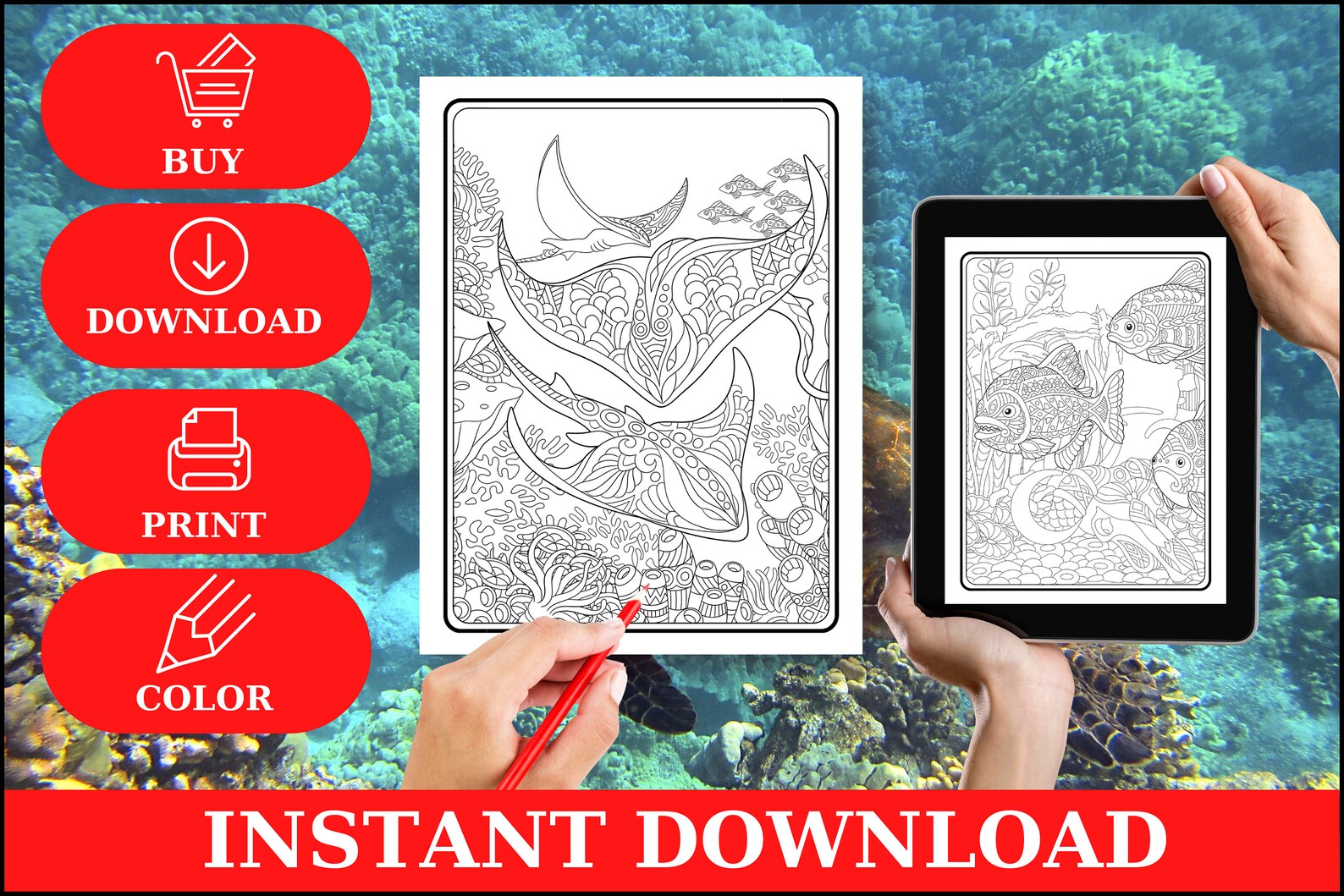 Ocean Life Coloring Pages | Ocean Life Coloring Book for Adults and ...