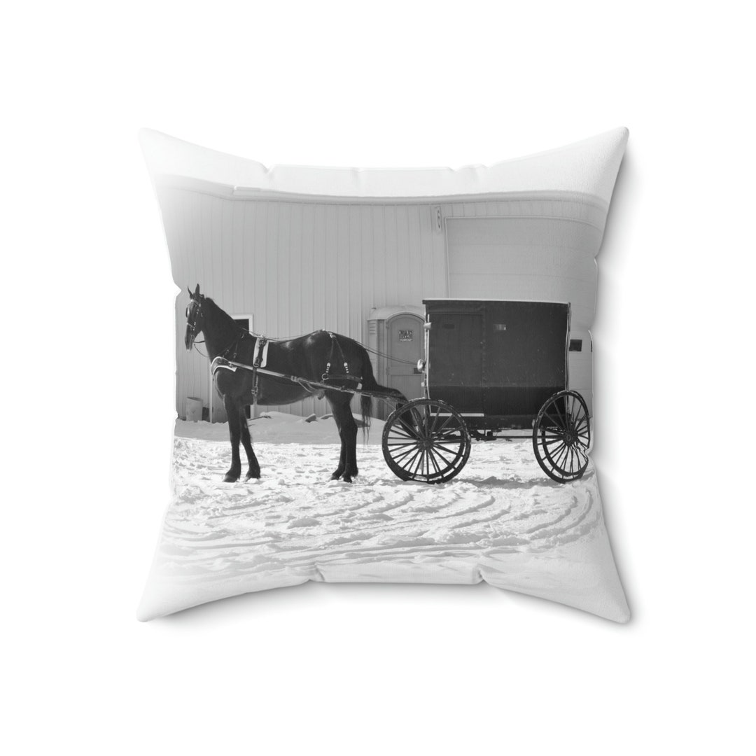 Decorative Pillow From Original Photograph of Amish Horse and Buggy ...