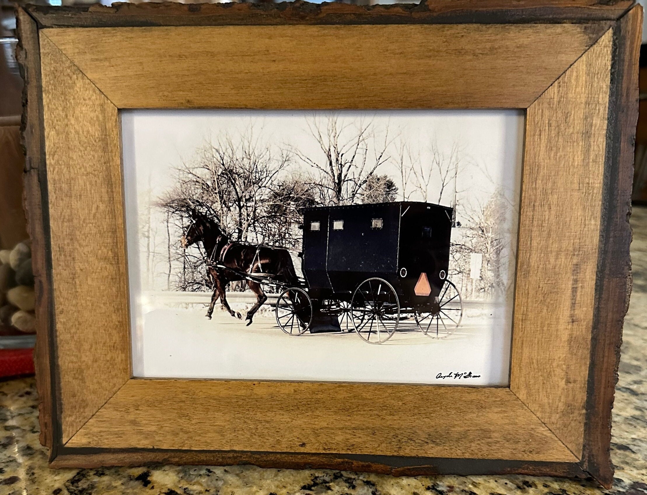 Original Framed Signed 5x7 Photo Art of an Amish Horse and Buggy ...