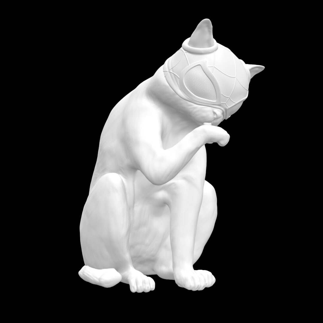 Spider Cat for Marvel Legends Action Figures - Etsy