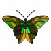 Pattern, Stained Glass Sun Catcher Butterfly Template, Instant Download ...