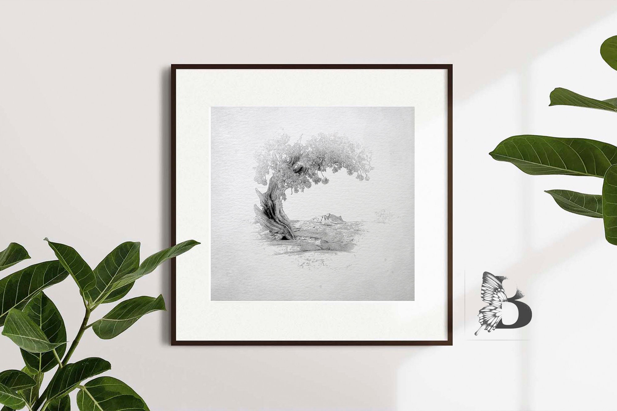 Tree Total, Old Tree Pencil Drawing, Vintage Forest Sketch, Aged Tree ...