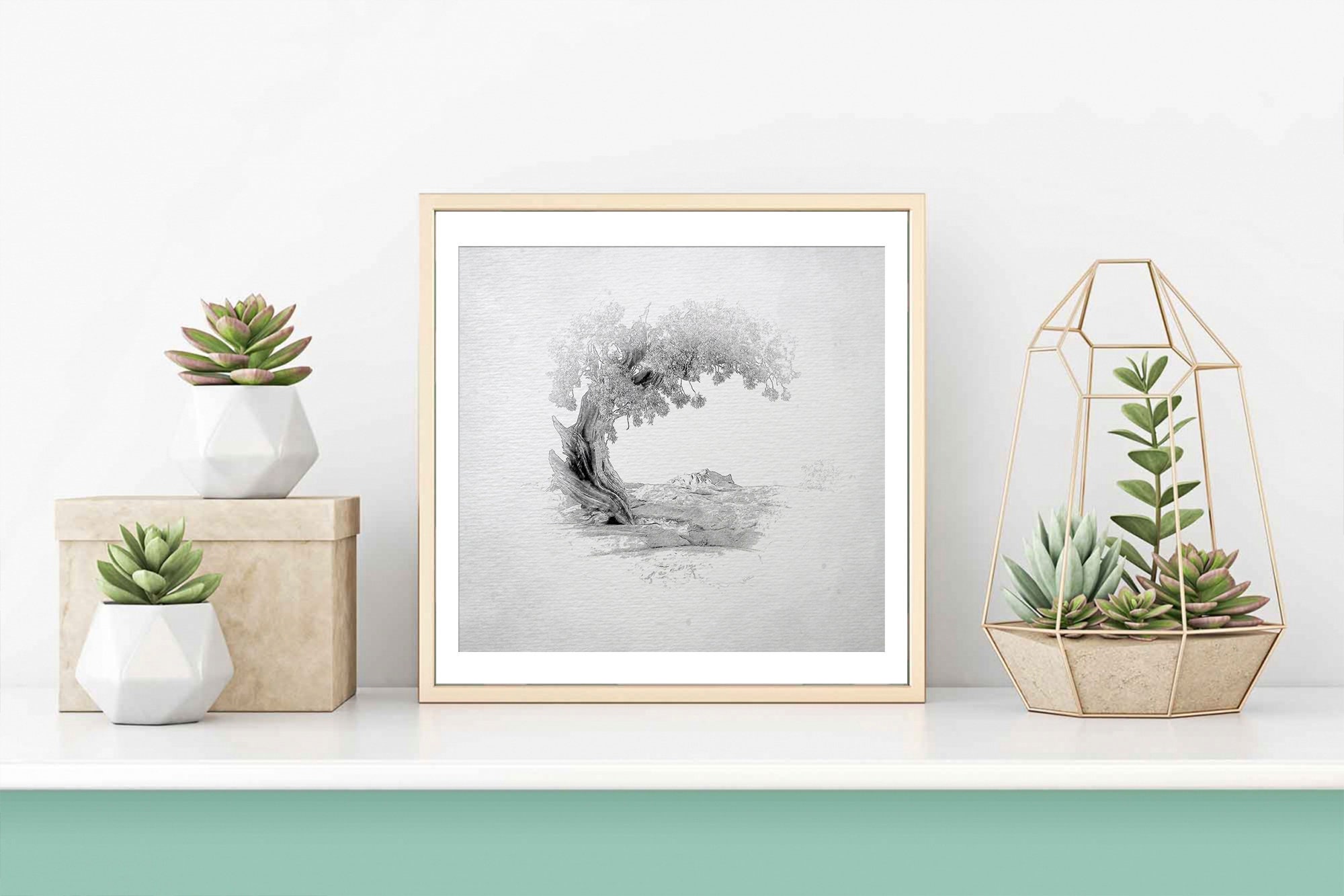 Tree Total, Old Tree Pencil Drawing, Vintage Forest Sketch, Aged Tree ...