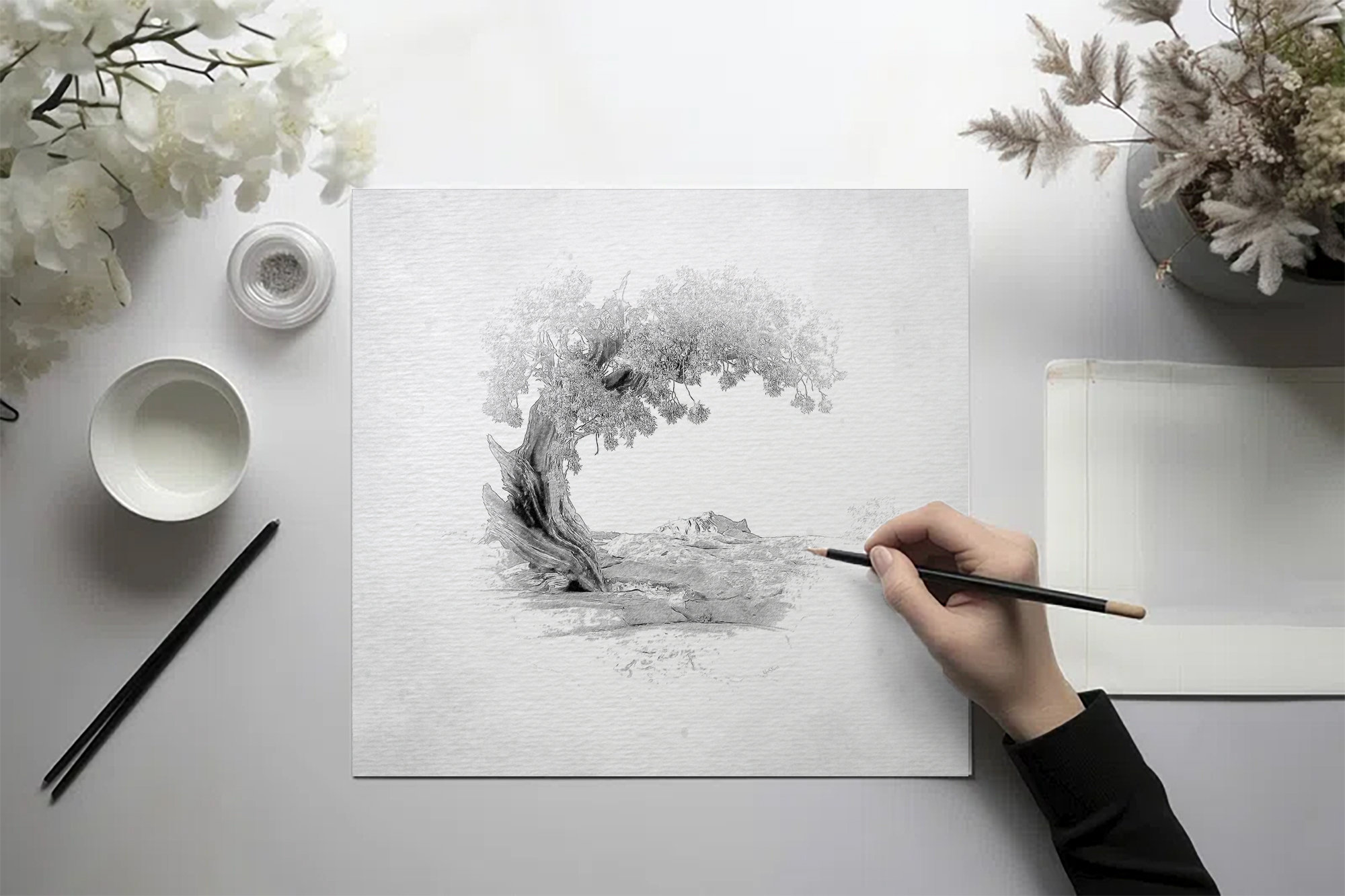 Tree Total, Old Tree Pencil Drawing, Vintage Forest Sketch, Aged Tree ...