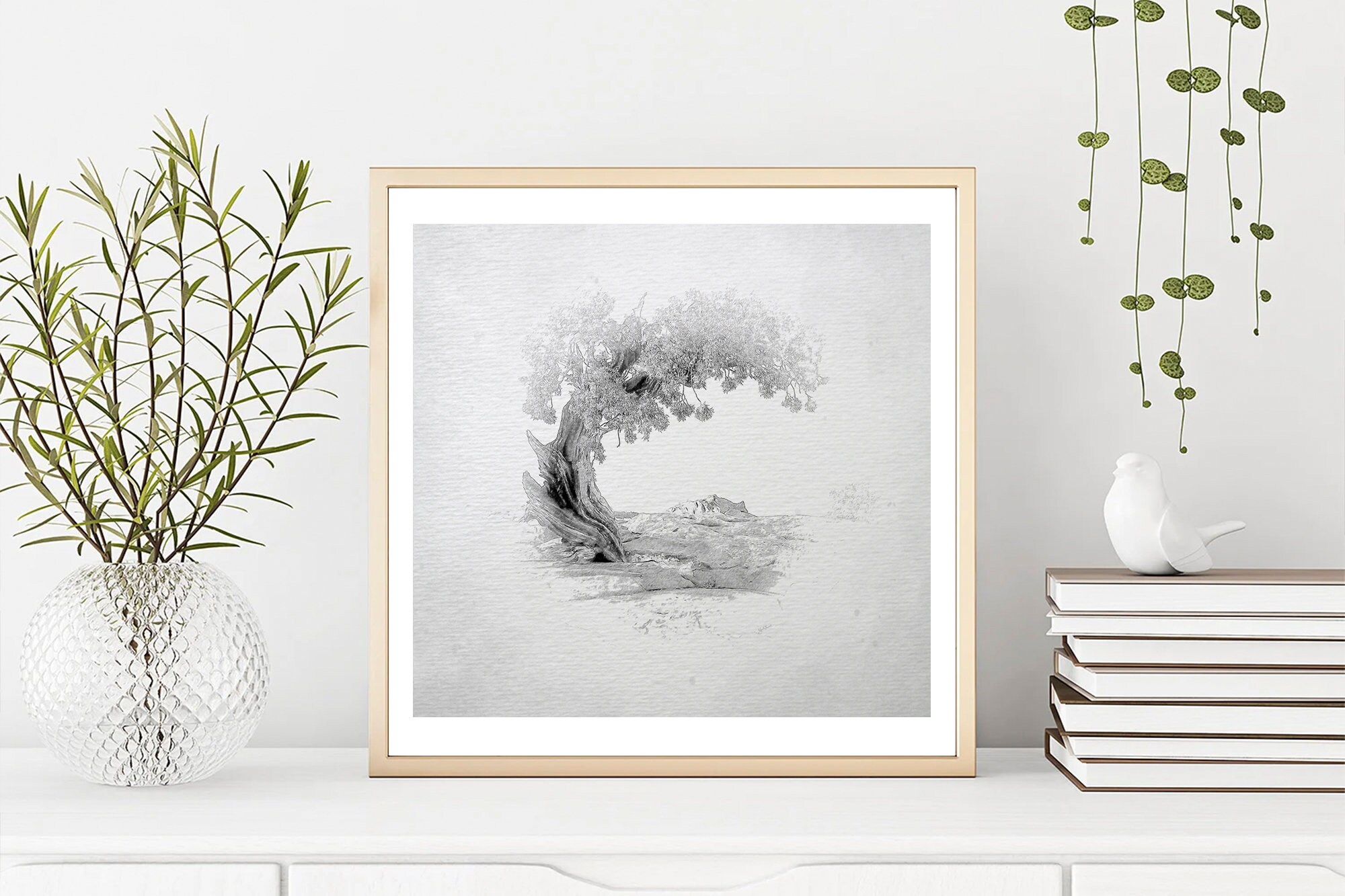 Tree Total, Old Tree Pencil Drawing, Vintage Forest Sketch, Aged Tree ...