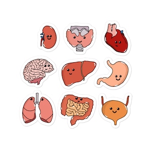 Cute Smiling Organs Sticker Pack - Etsy