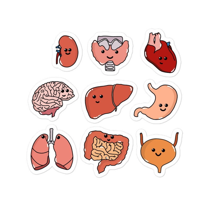 Cute Smiling Organs Sticker Pack - Etsy