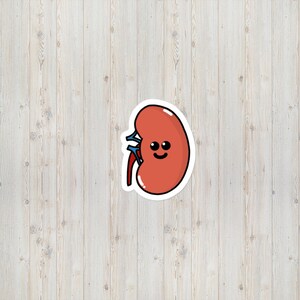 Cute Smiling Kidney Organ - Etsy