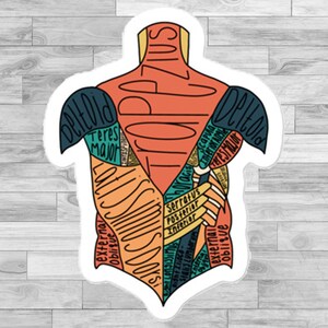 Labeled Leg Muscle Anatomy Study Tool - Etsy