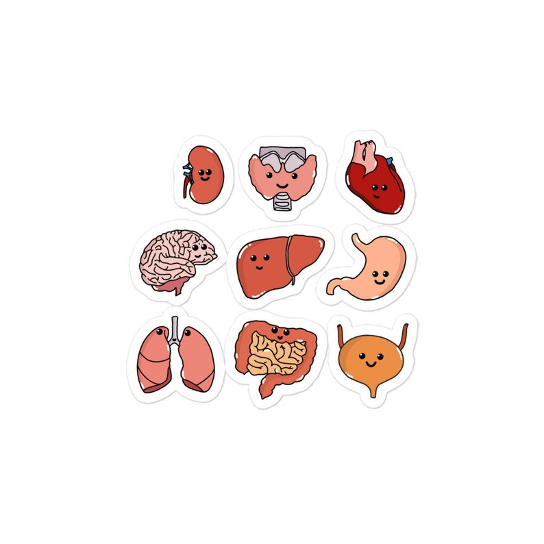 Cute Smiling Organs Sticker Pack - Etsy