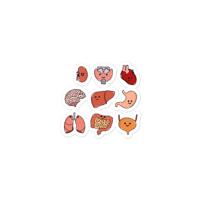 Cute Smiling Organs Sticker Pack - Etsy Australia