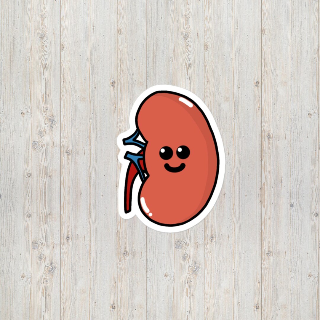 Cute Smiling Kidney Organ - Etsy