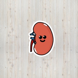 Cute Smiling Kidney Organ - Etsy