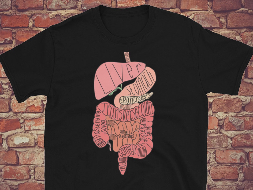 Labeled Digestive System - Etsy