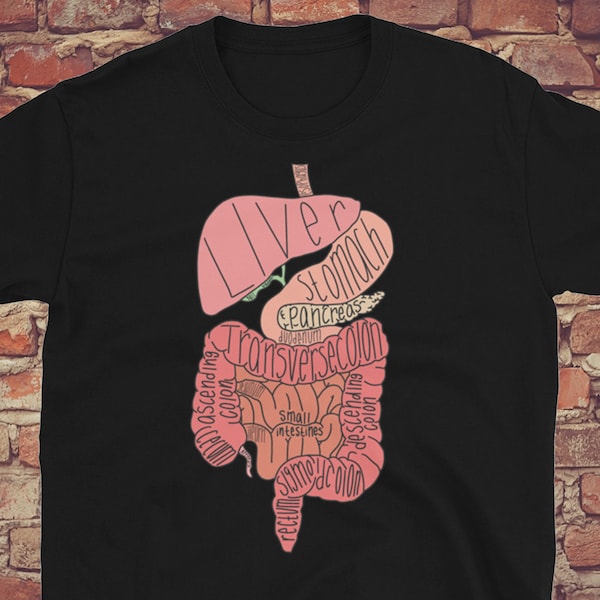Digestive System - Etsy