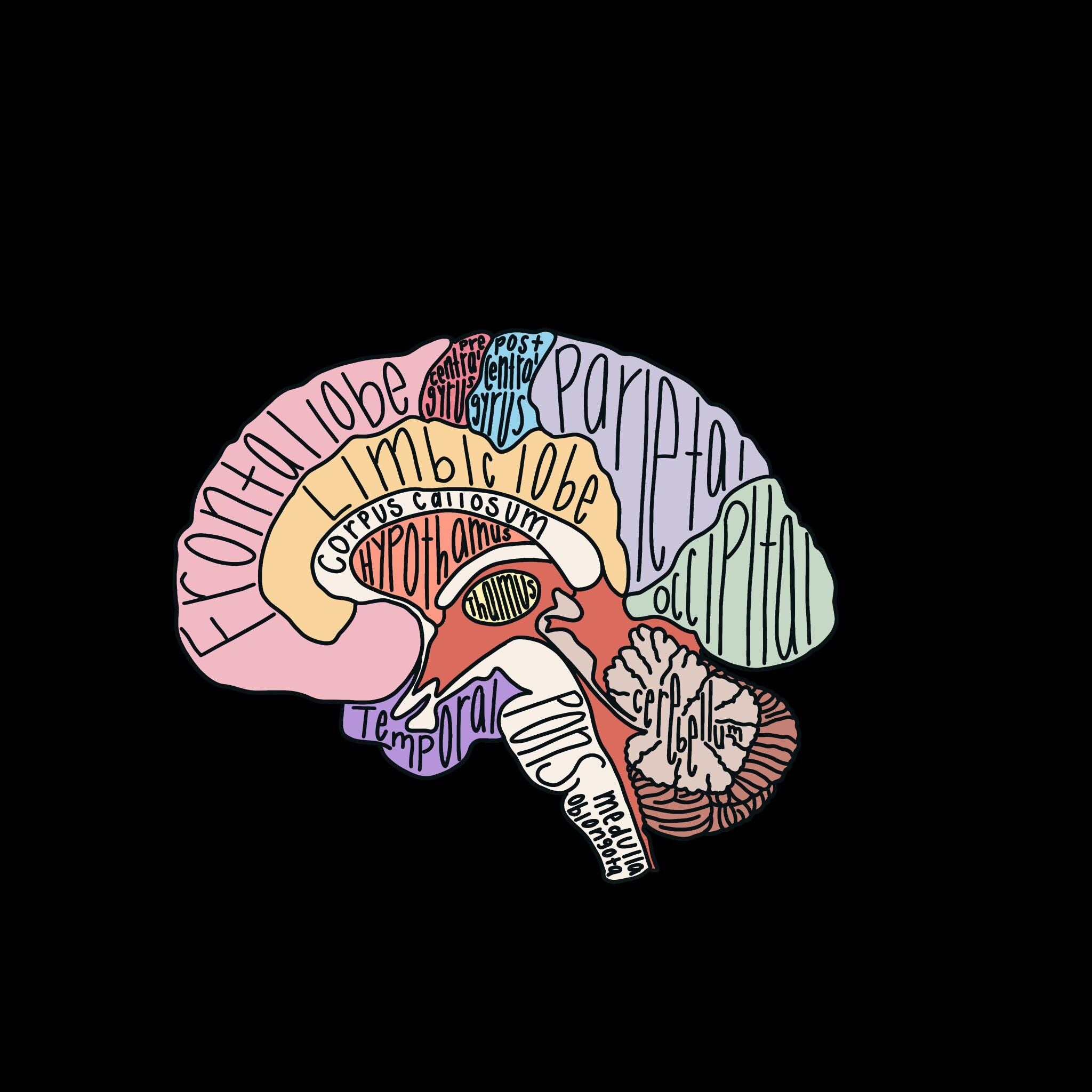 Labeled Brain Digital Print - Etsy