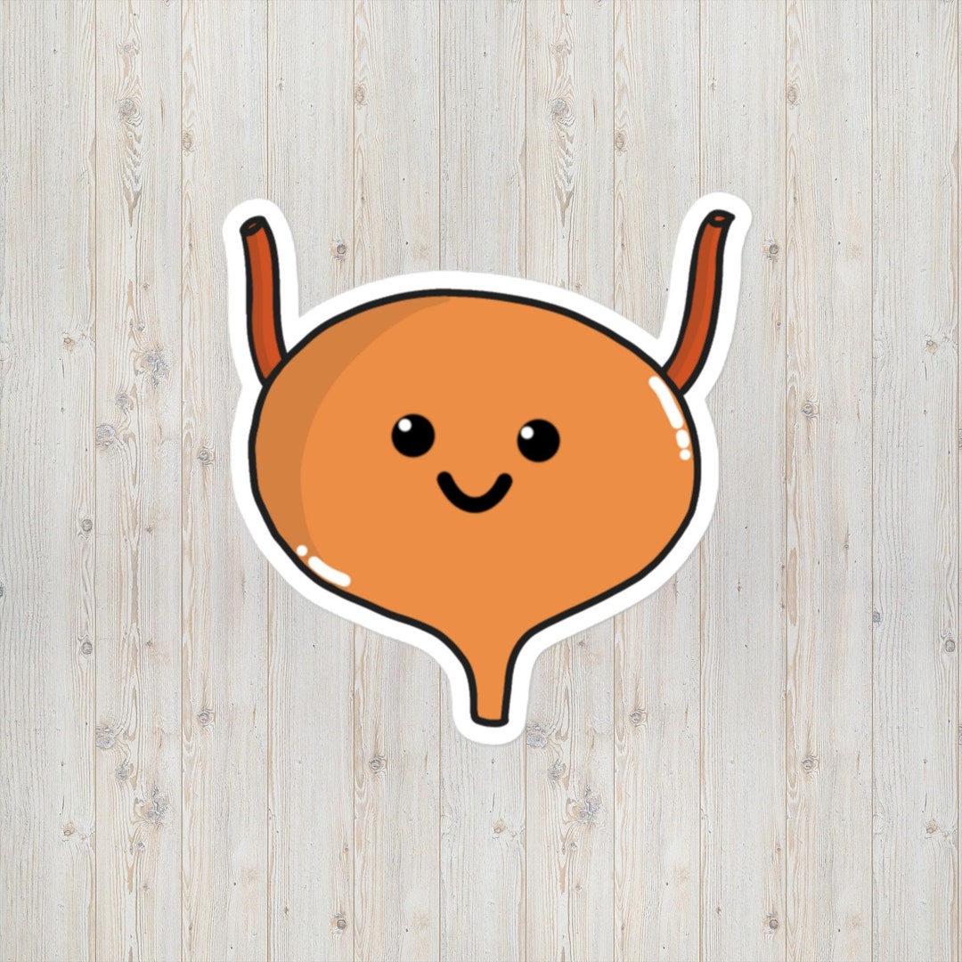 Cute Smiling Bladder Organ - Etsy