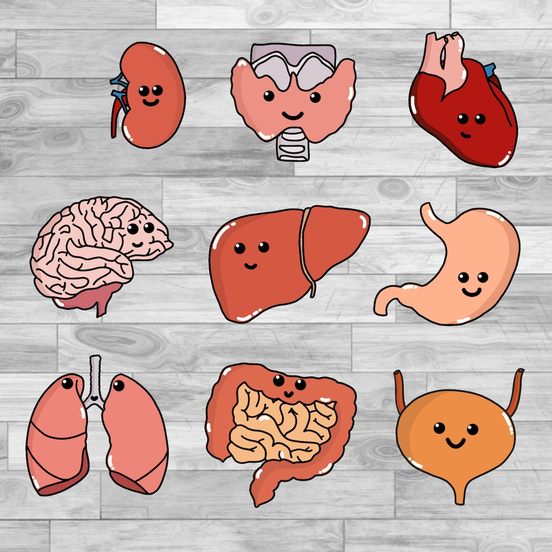 Cute Smiling Organs Digital Pack - Etsy