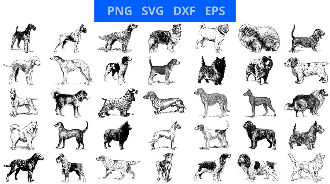 35 Dog Drawing Svg Bundle, Dog Illustrations Bundle Svg, Dog Design ...