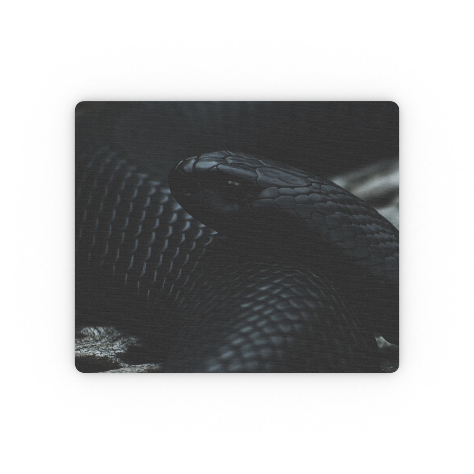 Snake Mouse Pad, Black Mamba Mouse Pad, Animal Mouse Pad, PC Keyboard ...