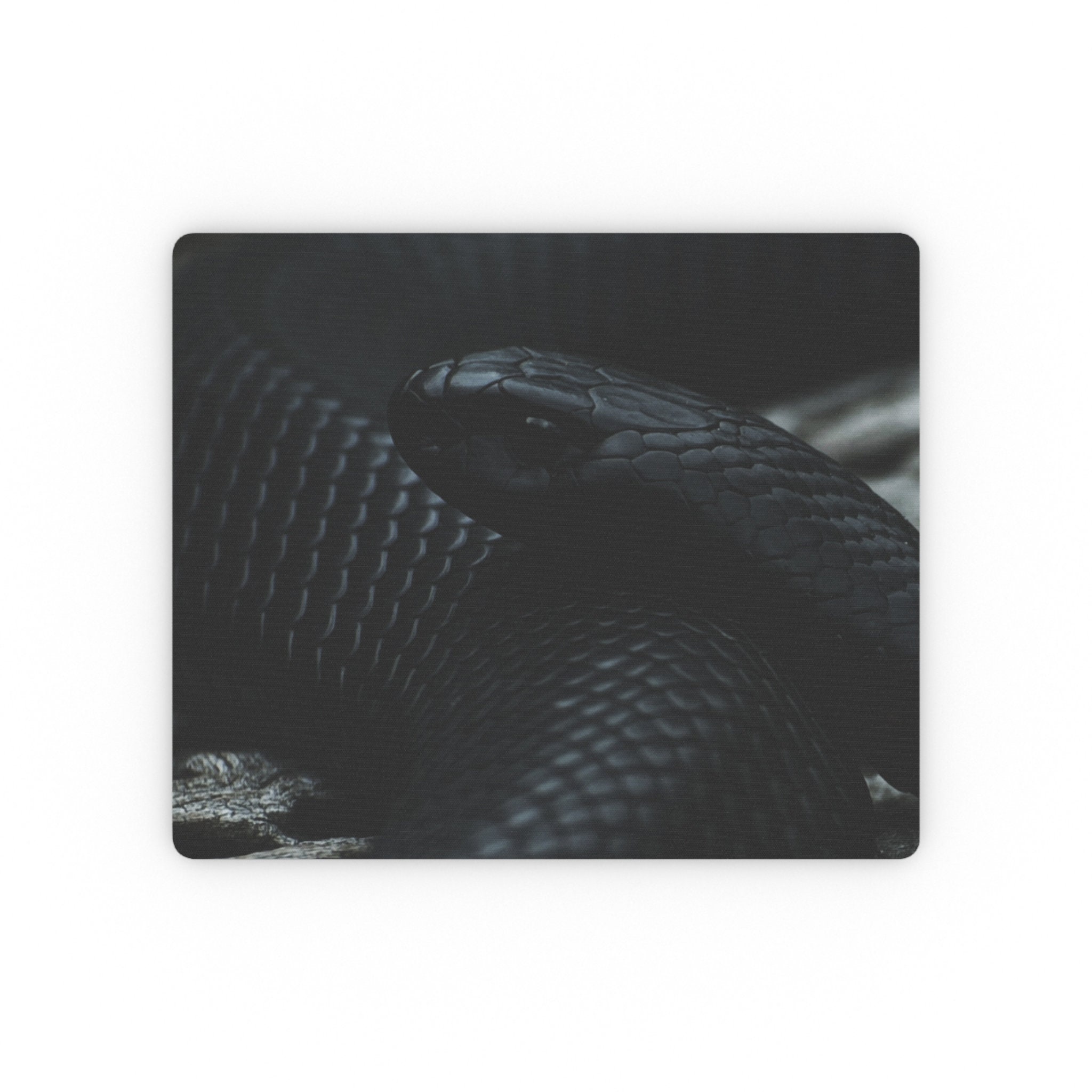 Snake Mouse Pad, Black Mamba Mouse Pad, Animal Mouse Pad, PC Keyboard ...
