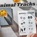Animal Tracks Worksheet Bundle Identify Animal Tracks Educational Print ...