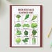 Green Vegetables Scavenger Hunt Vegetable Activity for Kids Vegetable ...